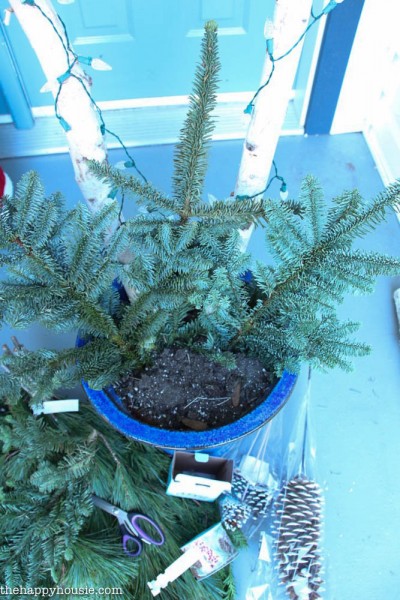 DIY Natural Greenery Display with Lights | The Happy Housie