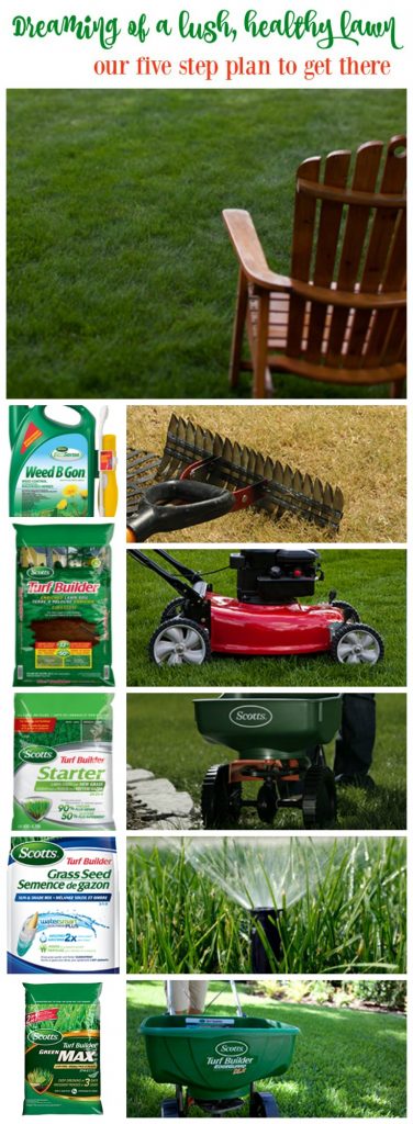 Before & After Lawn Makeover Project | The Happy Housie