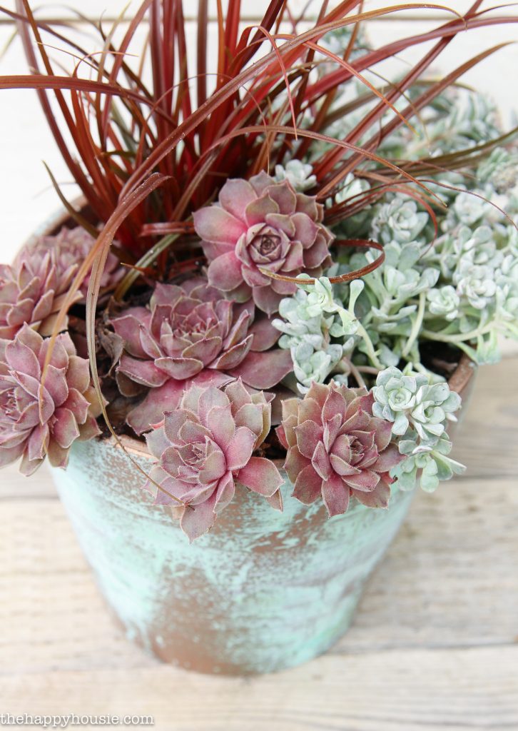 DIY Copper Patina Clay Pot Succulent Planter | The Happy Housie