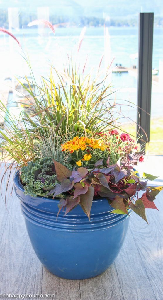 Easy Beautiful DIY Fall Planters | The Happy Housie