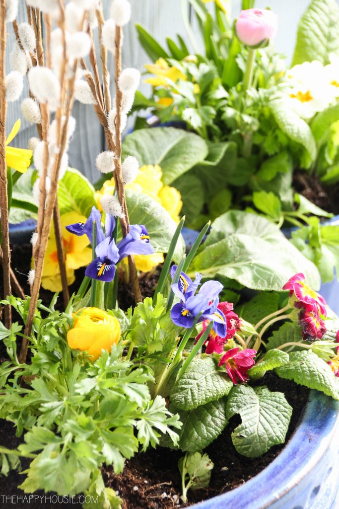 Beautiful DIY Spring Planters & Styling our Spring Porch | The Happy Housie