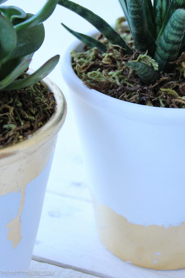 DIY Gold Leaf Plant Pots | The Happy Housie