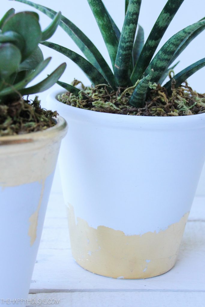 DIY Gold Leaf Plant Pots | The Happy Housie