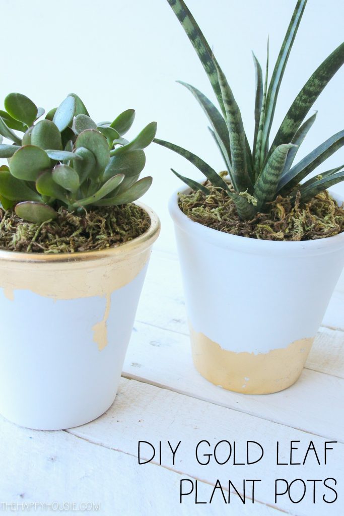 DIY Gold Leaf Plant Pots | The Happy Housie